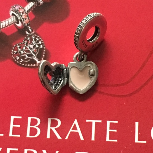 Pandora | Jewelry | Pandora Angel Wings Dangle Charm | Poshmark